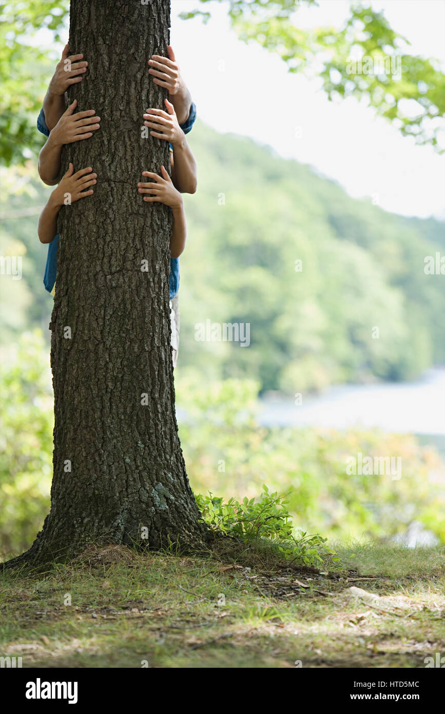 Three people behind tree Stock Photo - Alamy