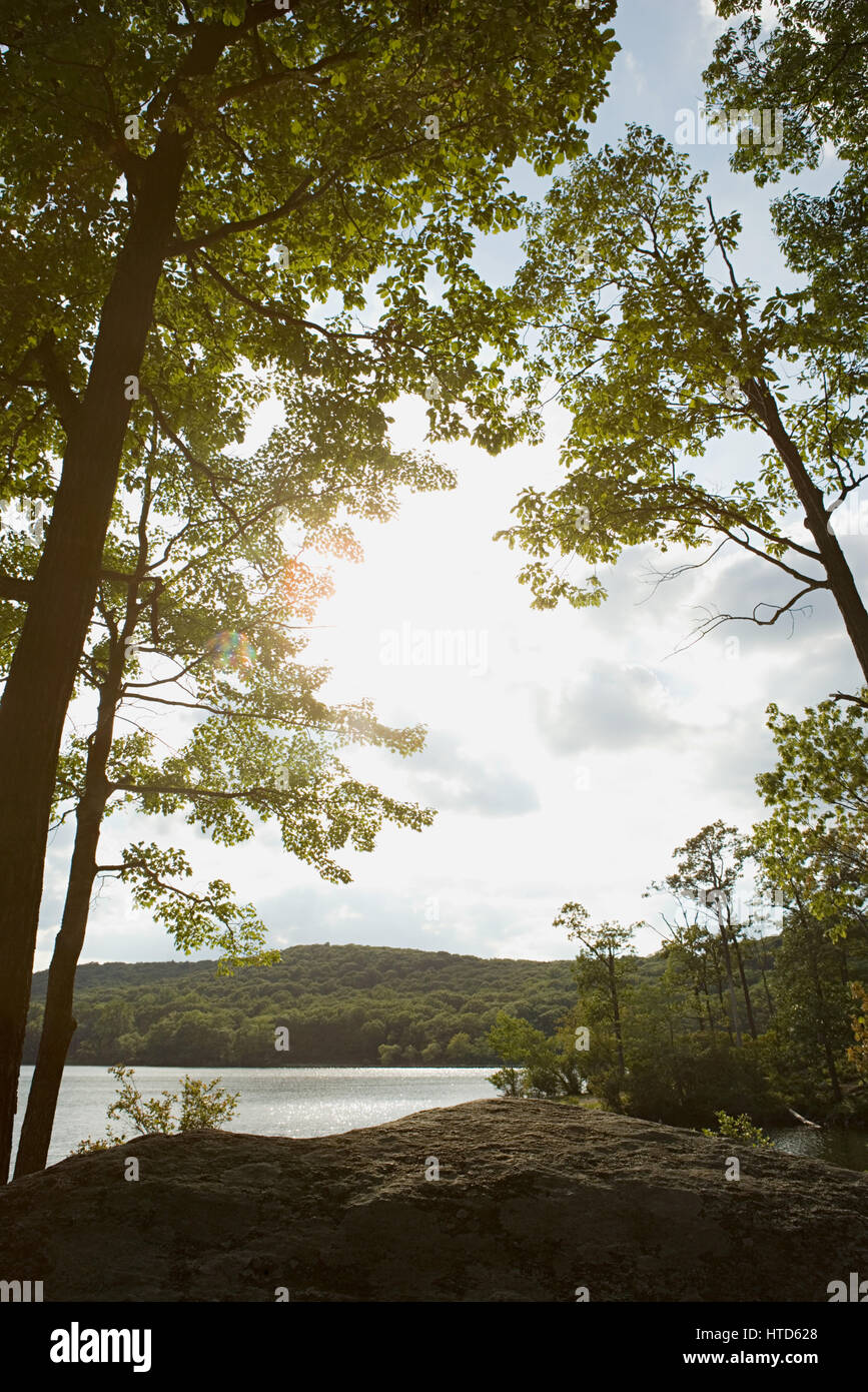 Lake surrounded by trees Stock Photo - Alamy