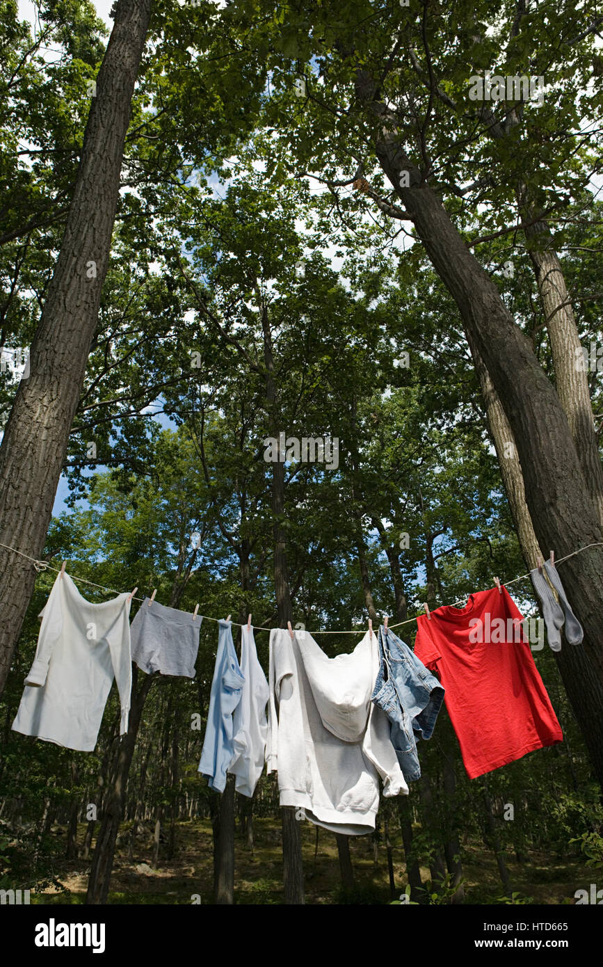 Laundry hanging between trees Stock Photo - Alamy
