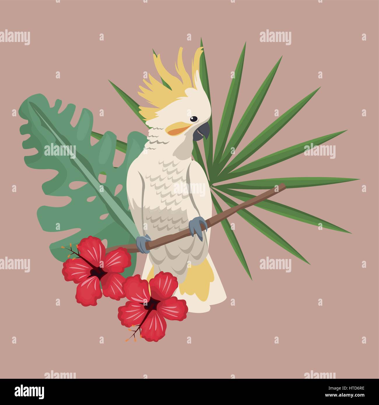 Palm cockatoo illustration Stock Vector Images - Alamy