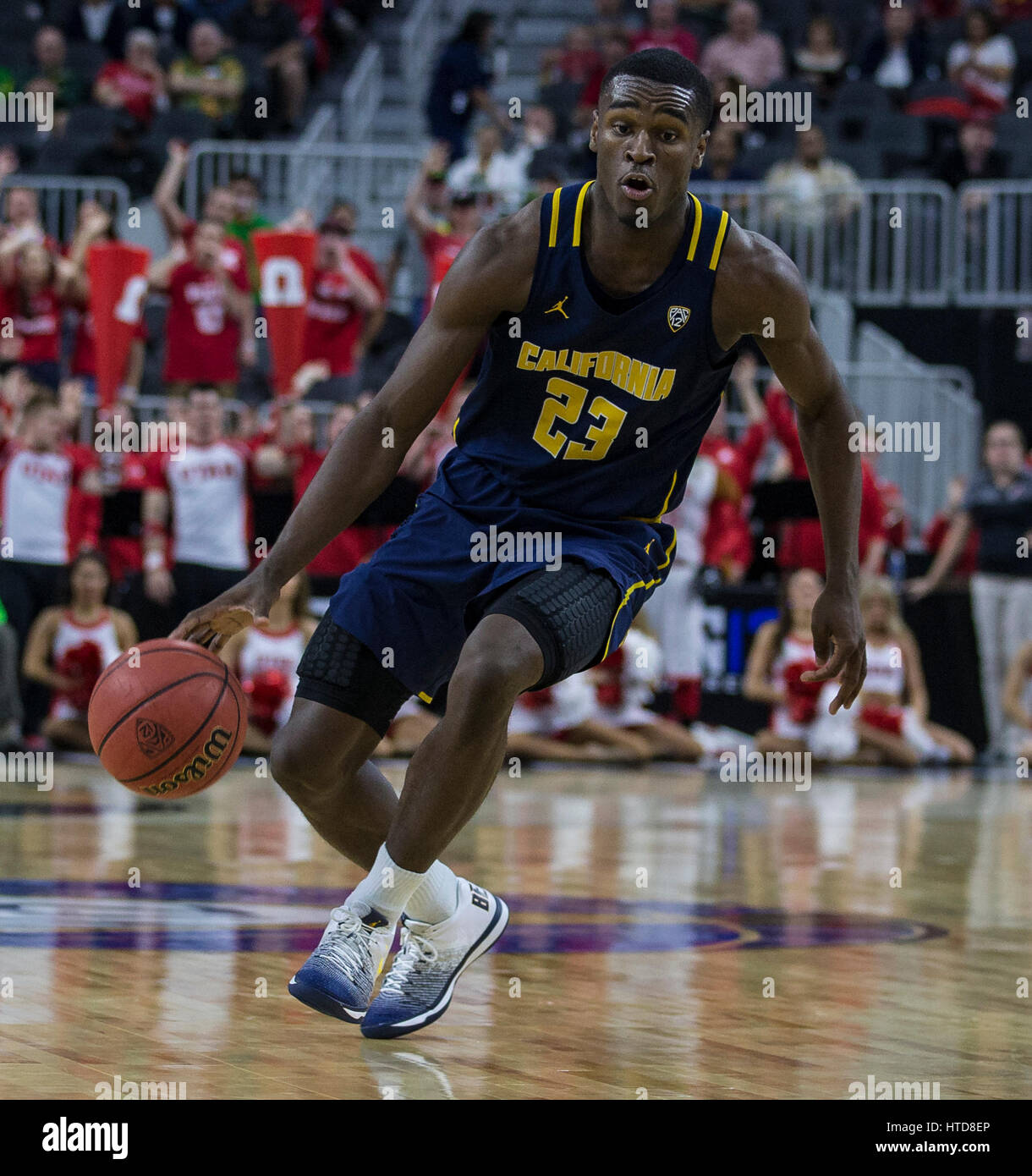 Jabari bird hi-res stock photography and images - Alamy
