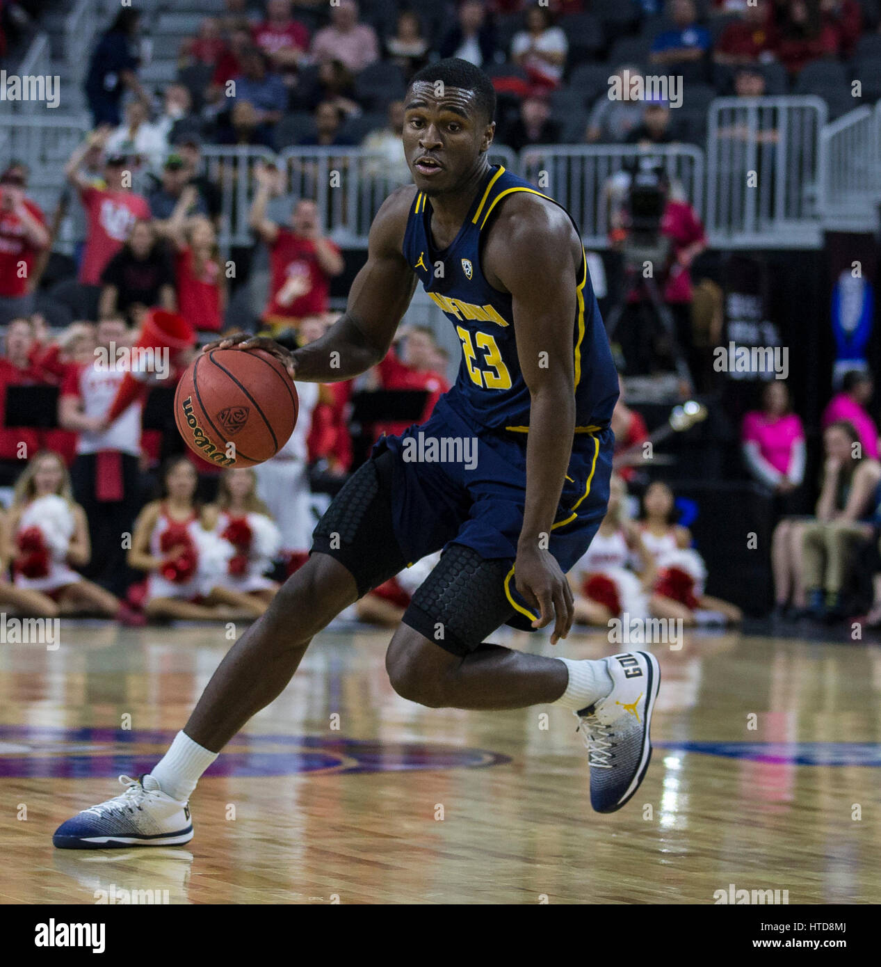 Jabari bird hi-res stock photography and images - Alamy