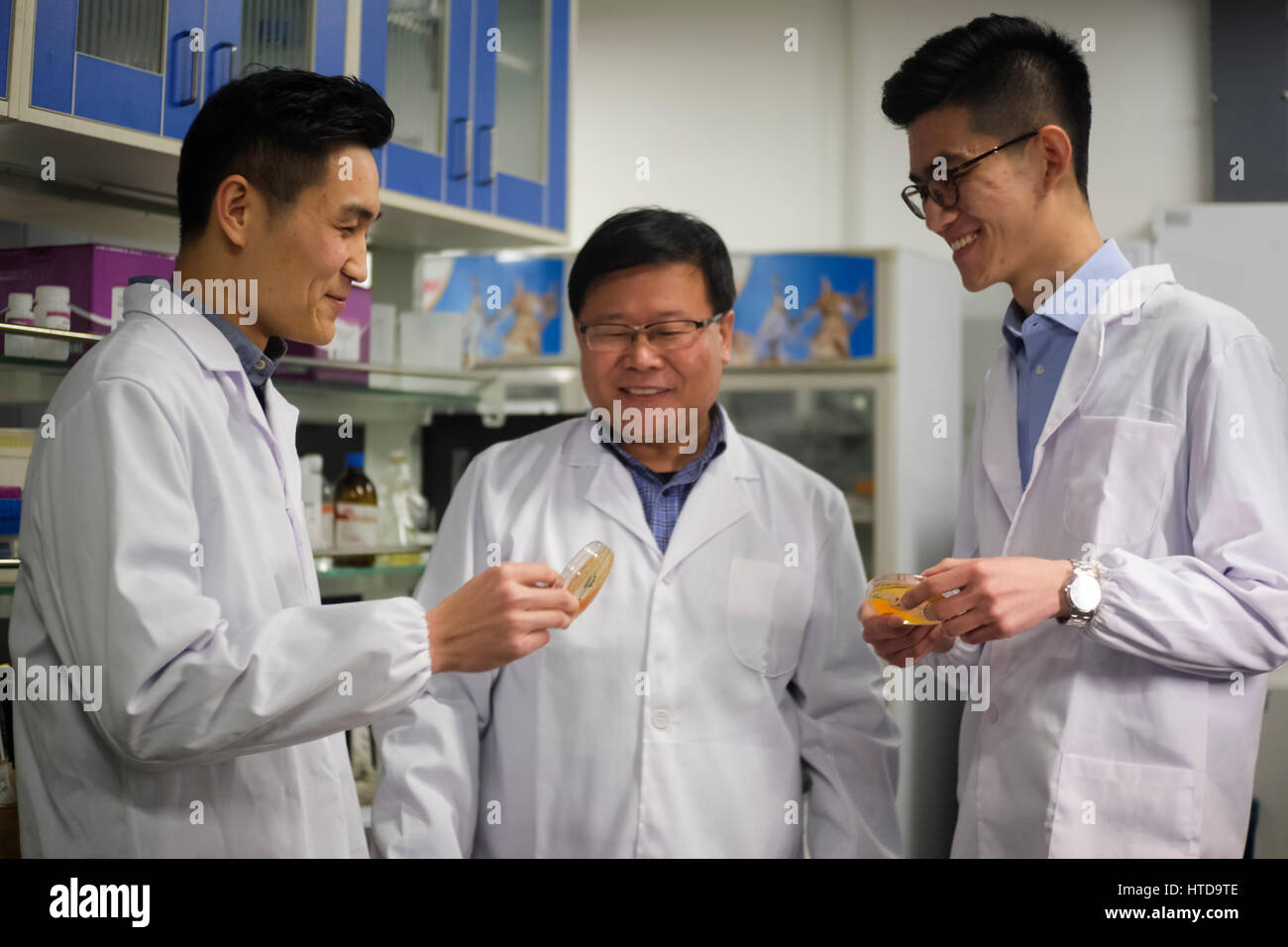 Chromosomes 5 hi-res stock photography and images - Alamy