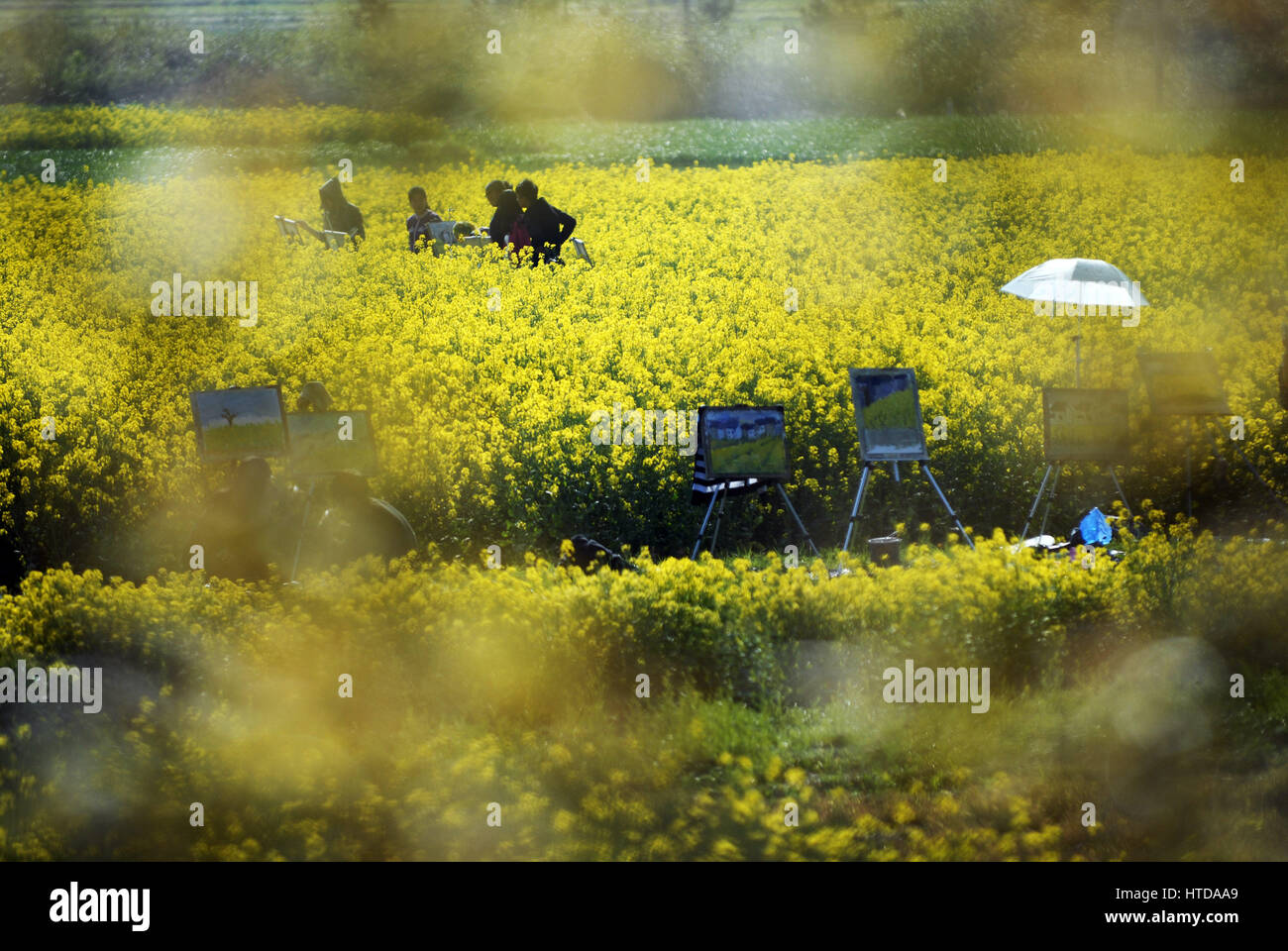 Xuancheng, China. 10th Mar, 2017. As rapeseed flowers blossom in spring ...