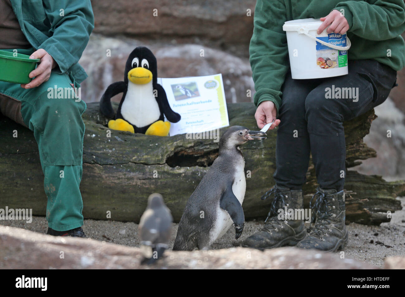 Computer Operating System Penguin