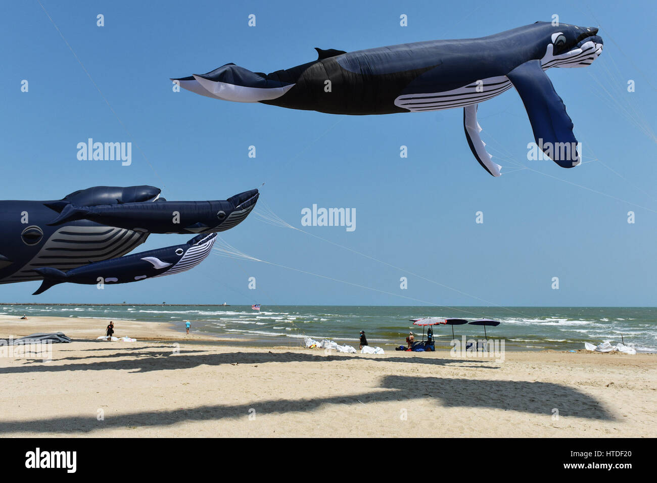 Phetchaburi, Thailand. 10th March 2017. Whale-shaped show kites hover ...