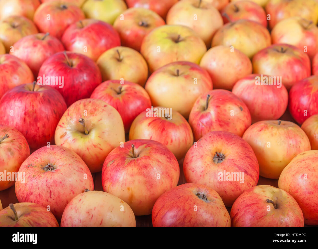 A bunch of red apples fresh harvest Stock Photo - Alamy
