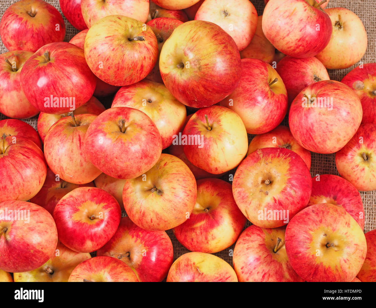 A pile of fresh red apples closeup Stock Photo - Alamy