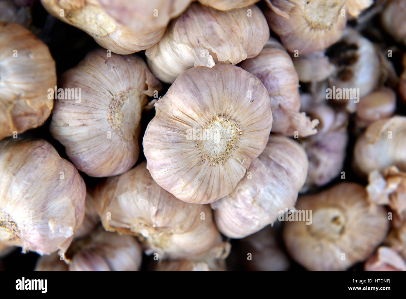 dry and spicy asian garlic in the market outdoor sunlight Stock Photo ...