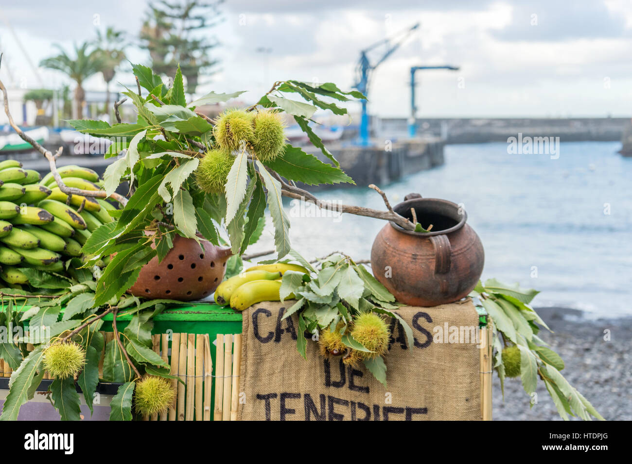 Chestnut trees, banana and clay pots in front of the port of Puerto de ...