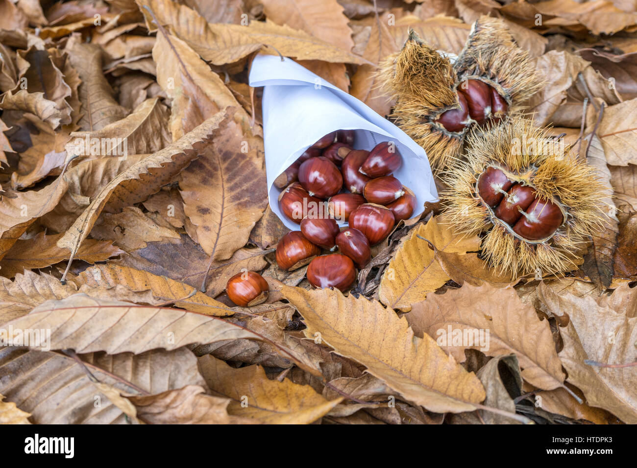 Chestnuts in a paper bag Stock Photo - Alamy