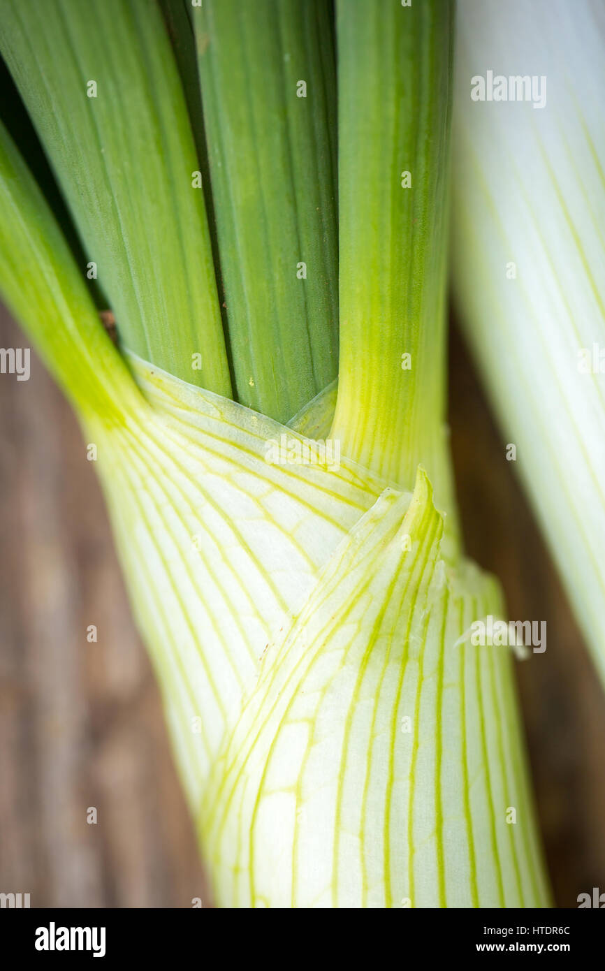 Fresh raw spring onions on a wooden board Stock Photo - Alamy