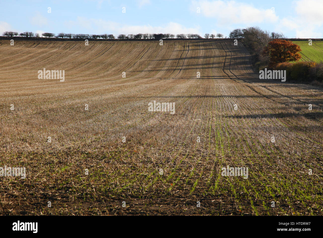 Old sowing methods hi-res stock photography and images - Alamy