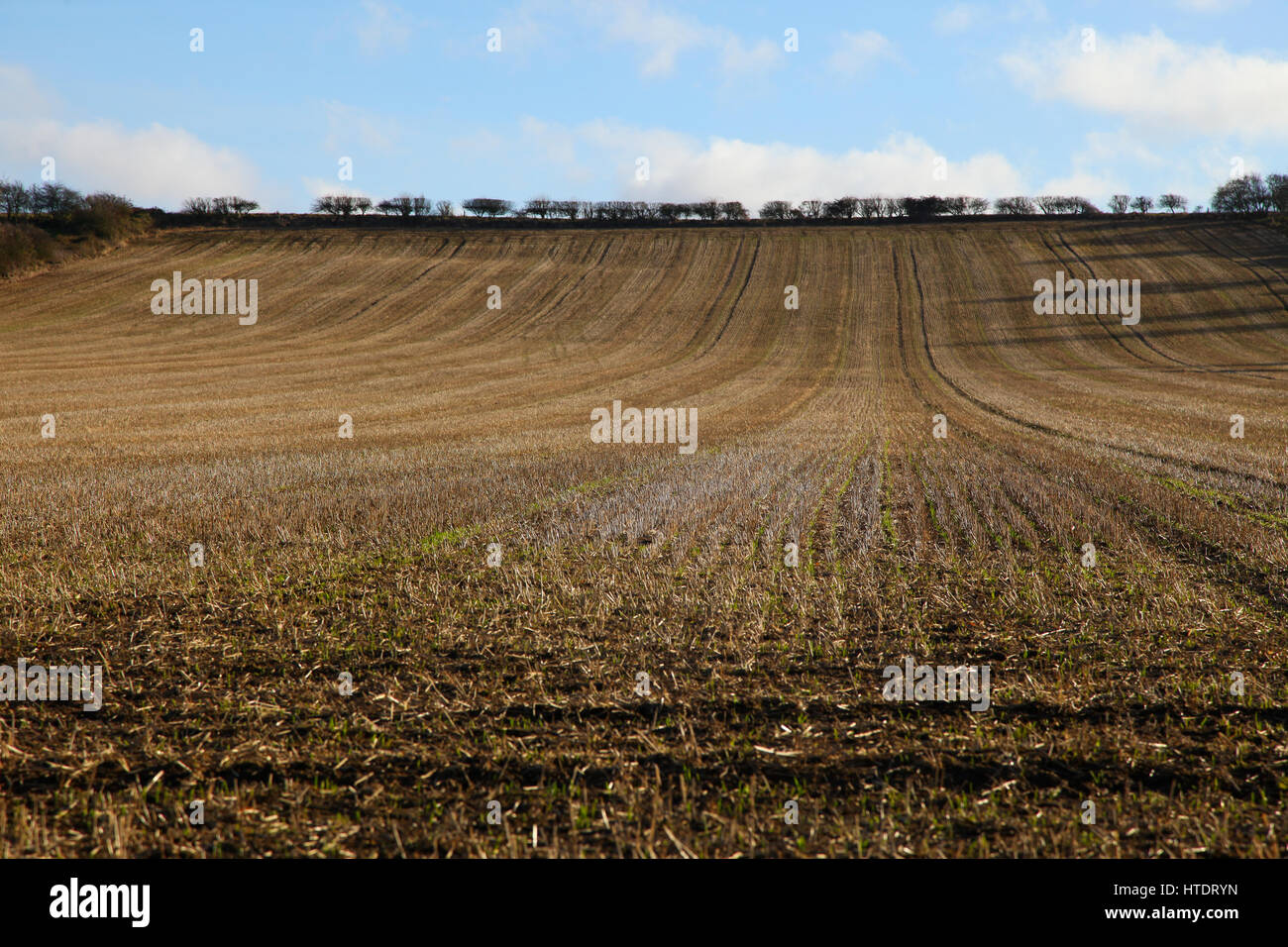 Ploughed field, patterns, straight furrows, ground, seedbed, Autumn ...
