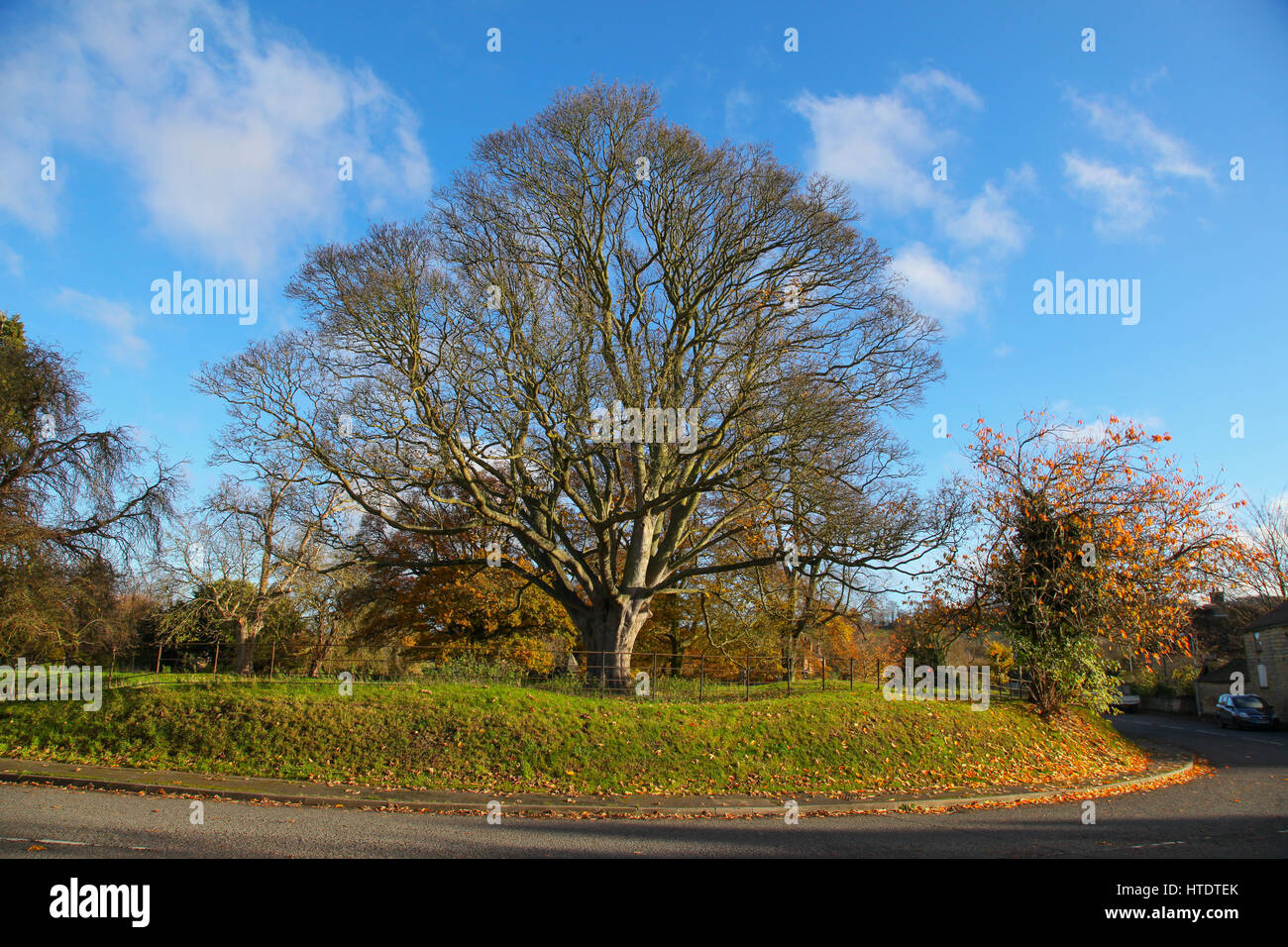 Pattern Patterns Straight Furrows High Resolution Stock Photography and ...
