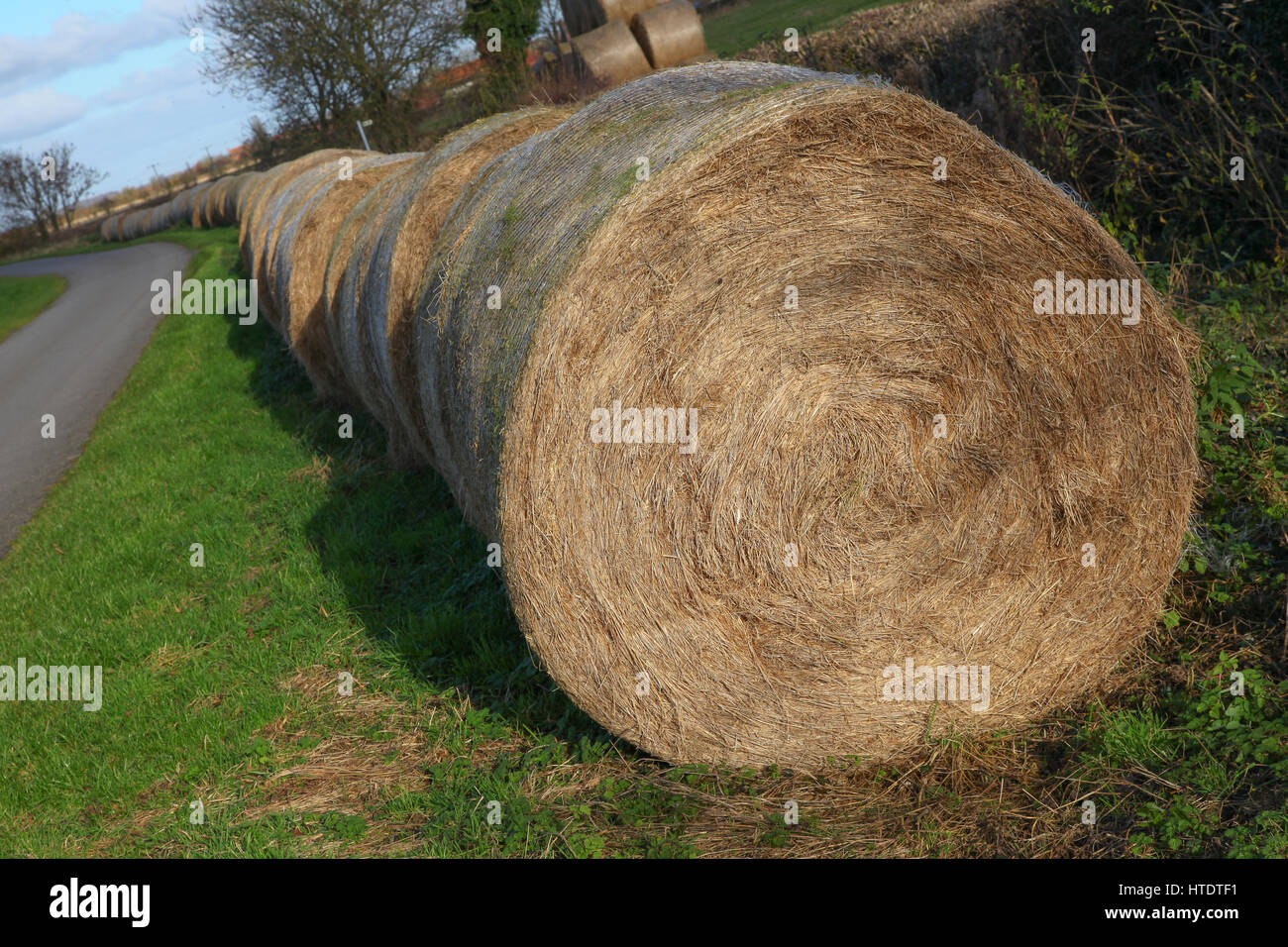 Straw bales patterns hi-res stock photography and images - Alamy