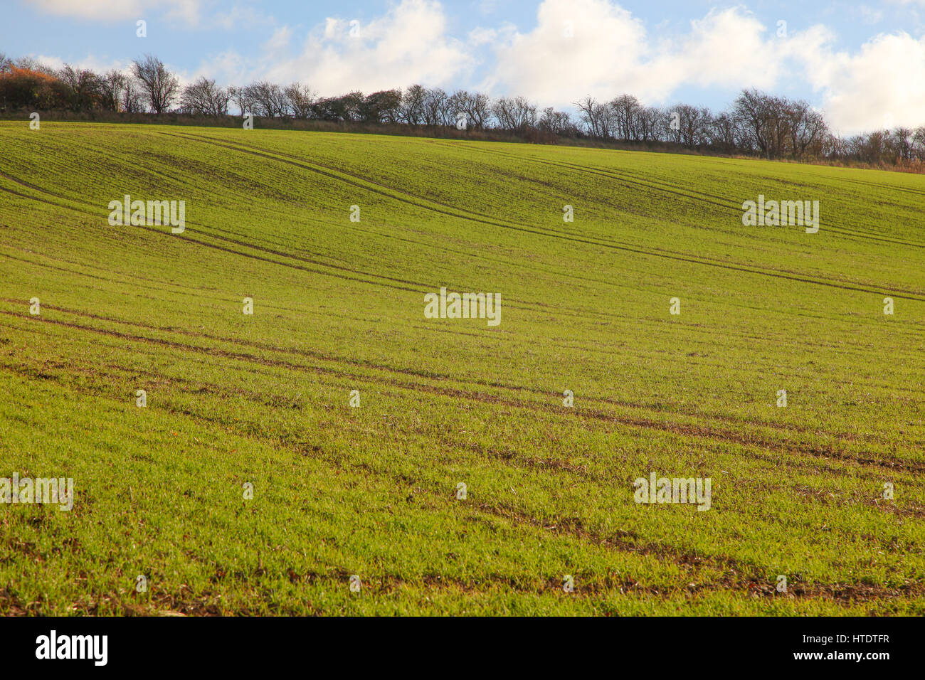 Ploughed field, patterns, straight furrows, ground, seedbed, Autumn ...