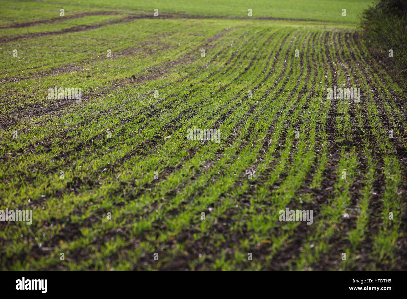 Pattern patterns straight furrows hi-res stock photography and images ...