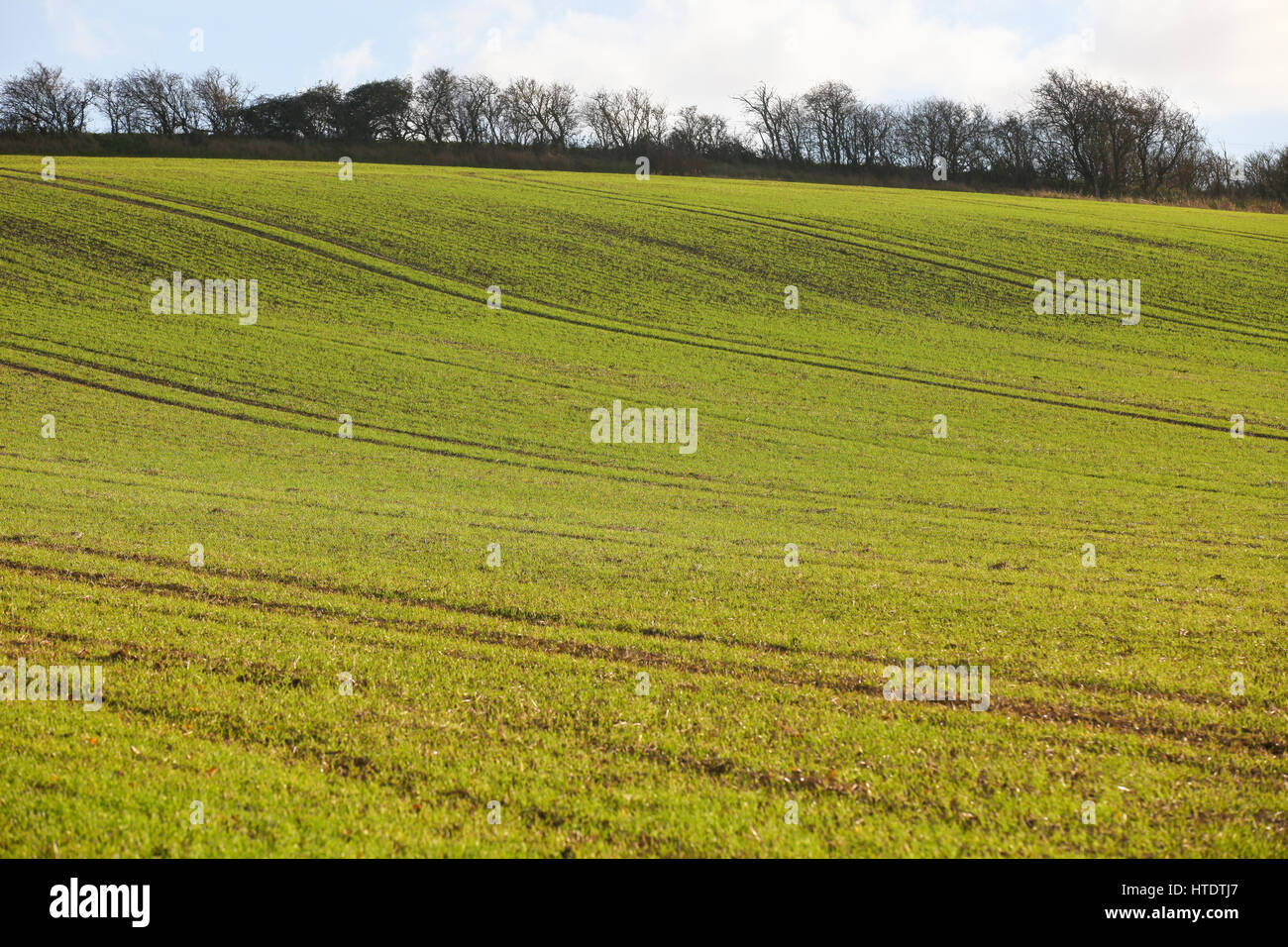 Ploughed field, patterns, straight furrows, ground, seedbed, Autumn ...