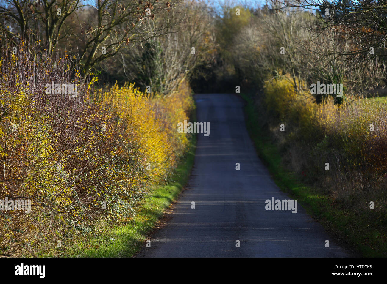 County-side, road, hedges, skyline, Roman Road, agriculture, hills ...