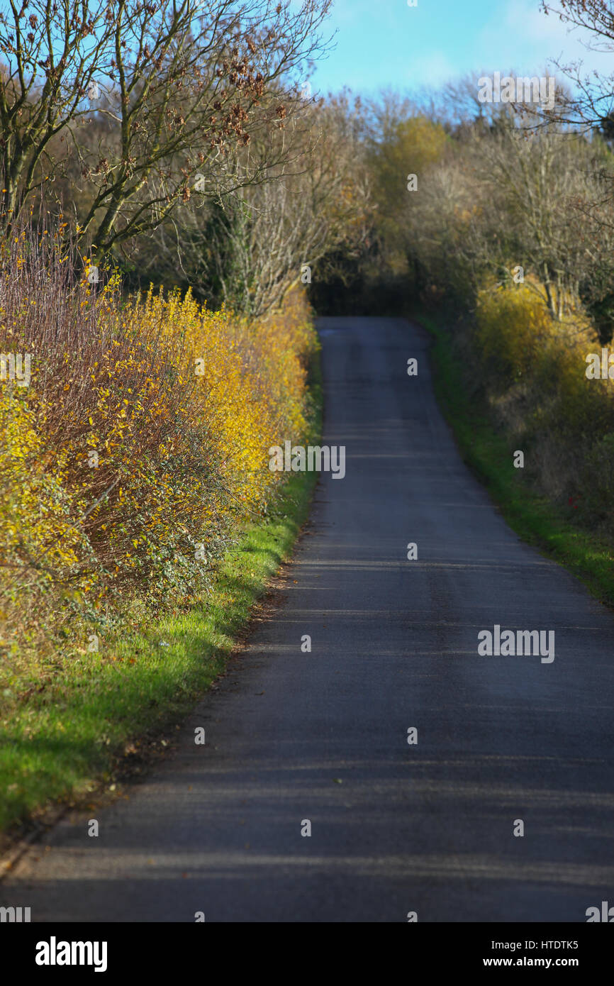 County-side, road, hedges, skyline, Roman Road, agriculture, hills ...