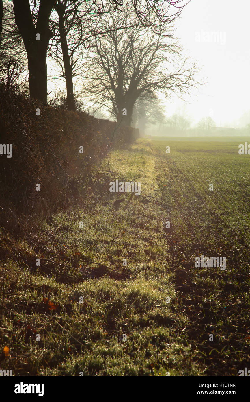 Straight furrows hi-res stock photography and images - Alamy