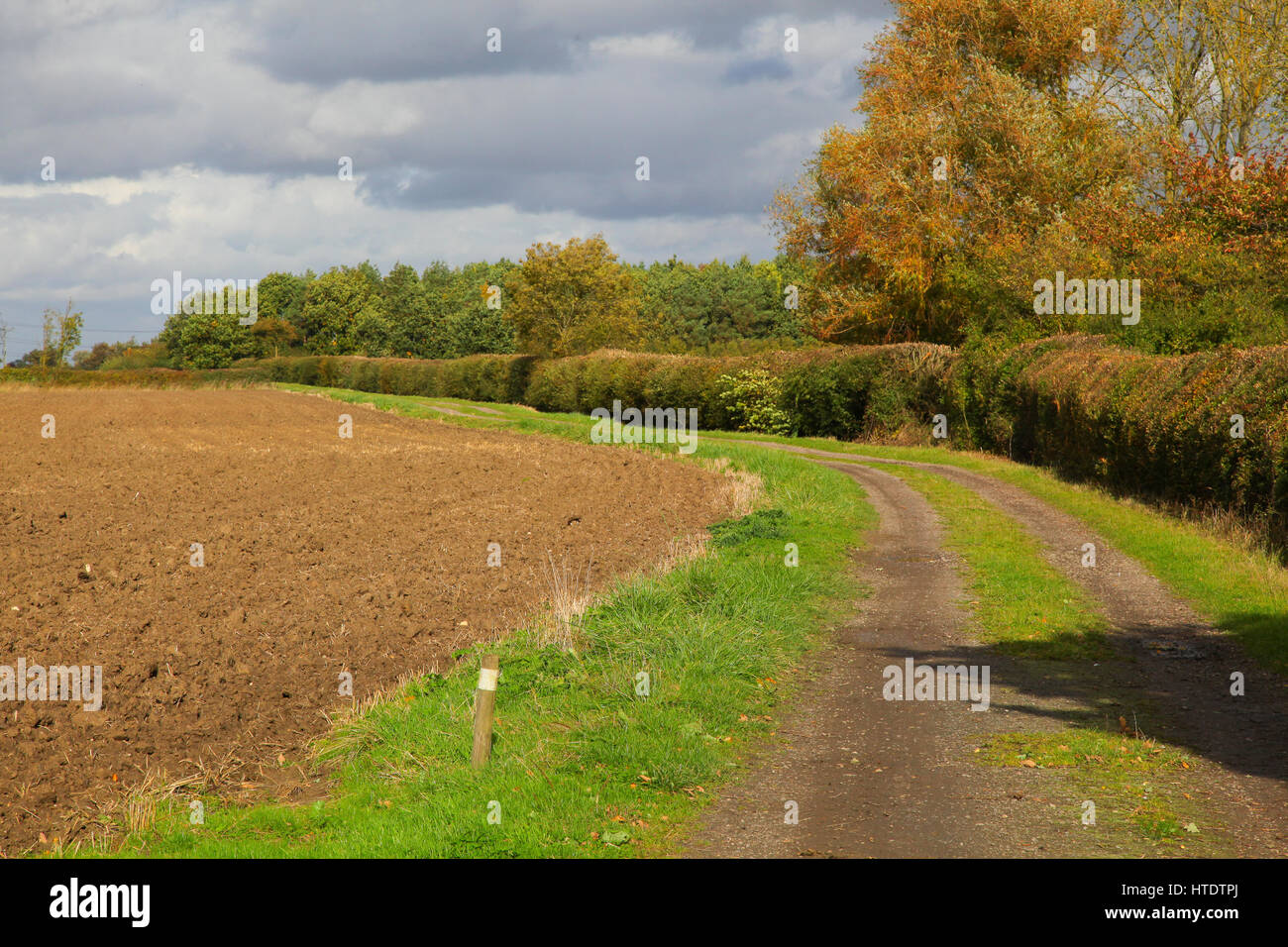 Ploughed field, patterns, straight furrows, ground, seedbed, Autumn ...