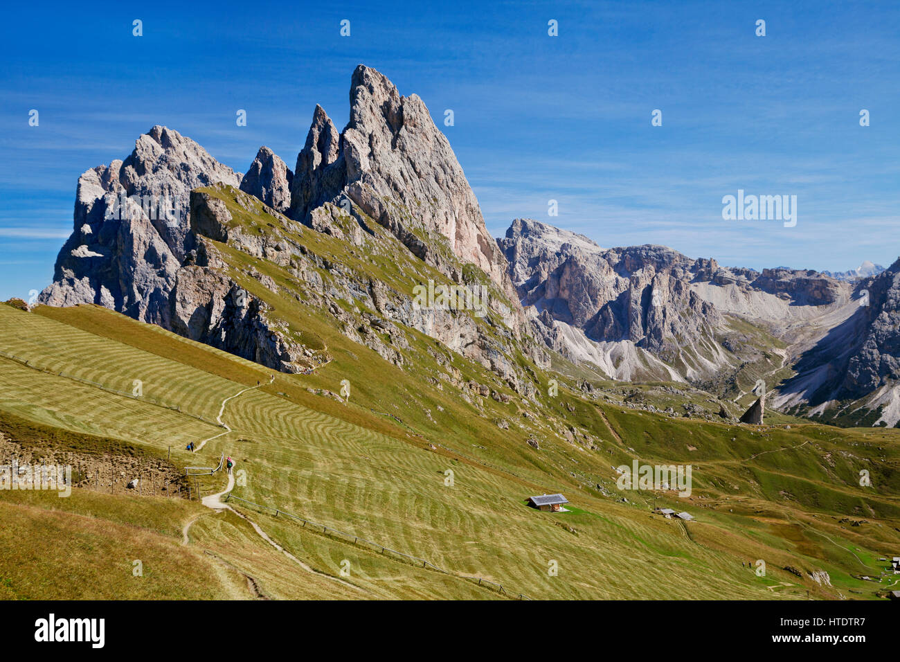Seceda mountain on a sunny day, Dolomites, Italy Stock Photo - Alamy