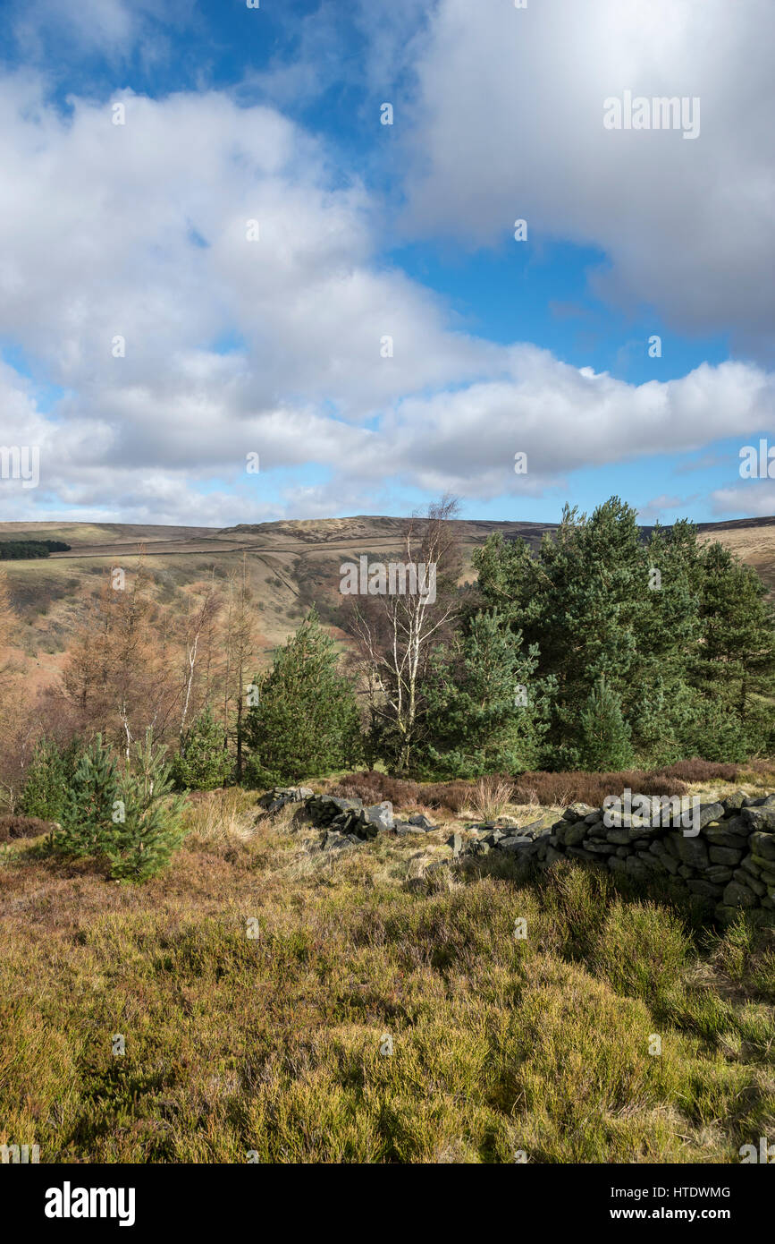 Beautiful view from Shire Hill near Glossop. Early spring landscape on ...