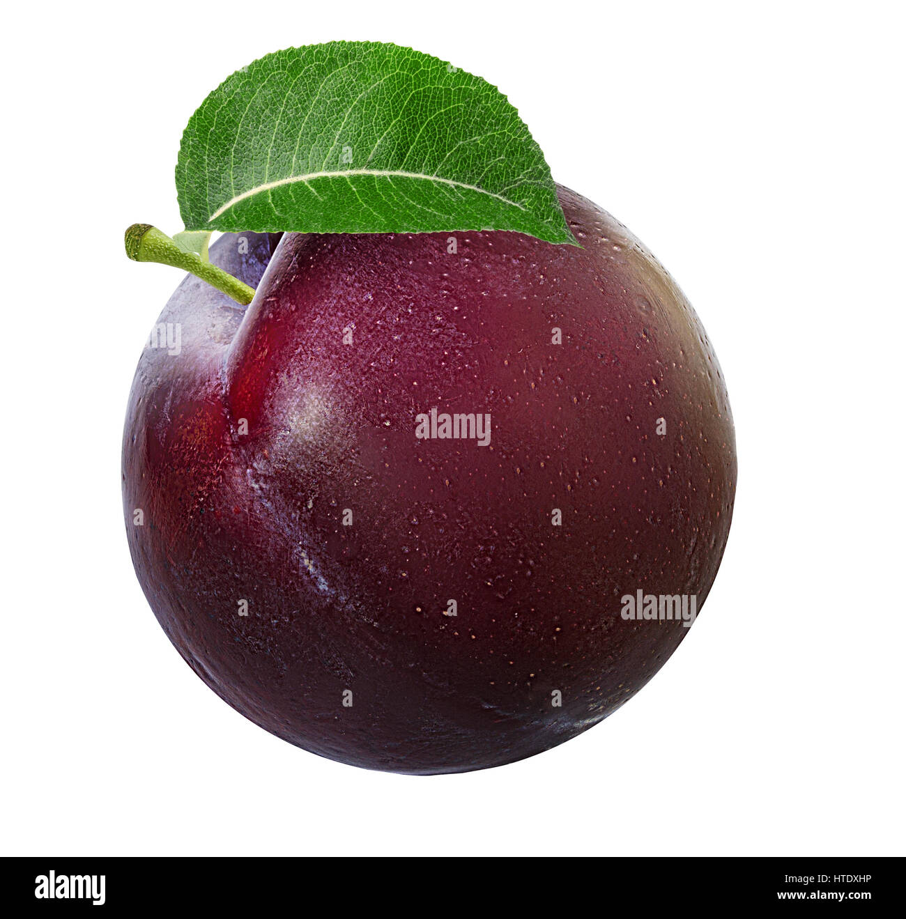 plum on a white background Stock Photo - Alamy