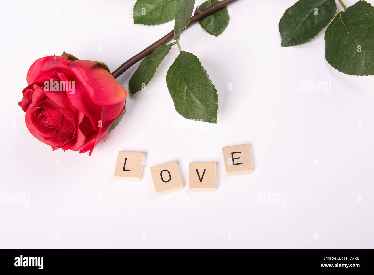 A red rose with the word: "Love"declaration Stock Photo - Alamy