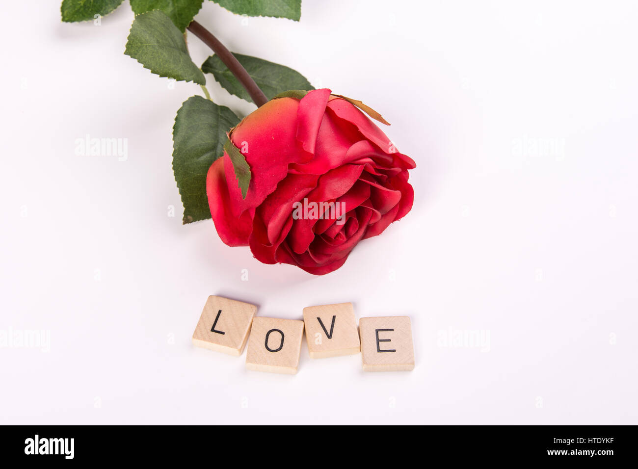 Rose is a flower of love hi-res stock photography and images - Alamy