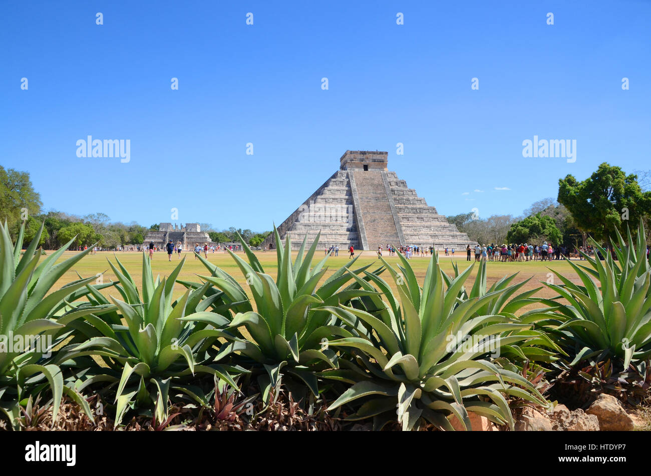 Mexican aloe hi-res stock photography and images - Alamy