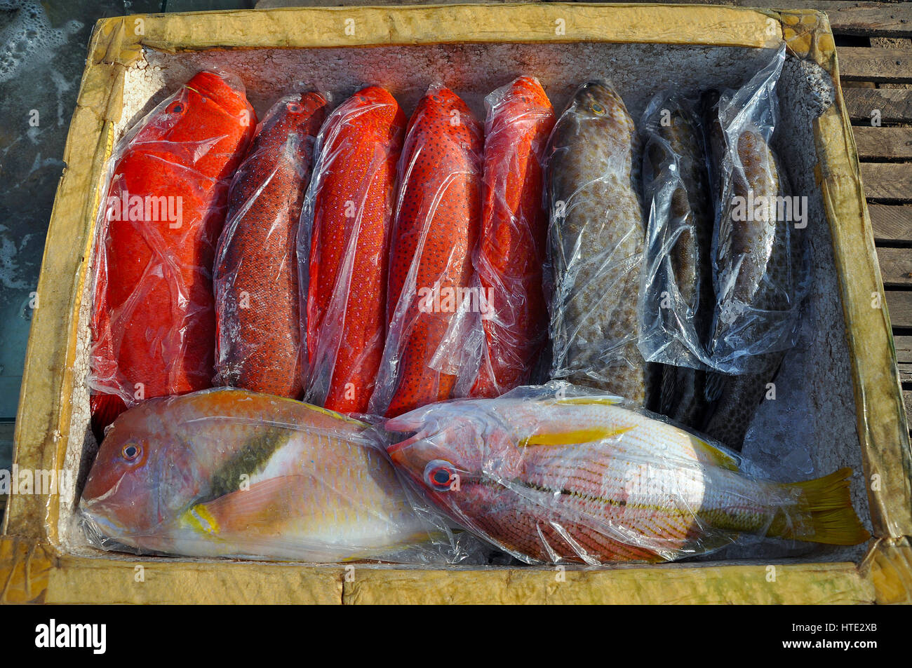 Fresh sea fish in a fish market, Vietnam Stock Photo - Alamy