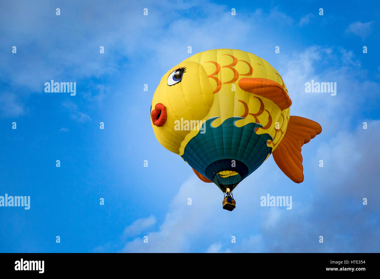 "Sushi" special shape hot air balloon, Albuquerque International ...
