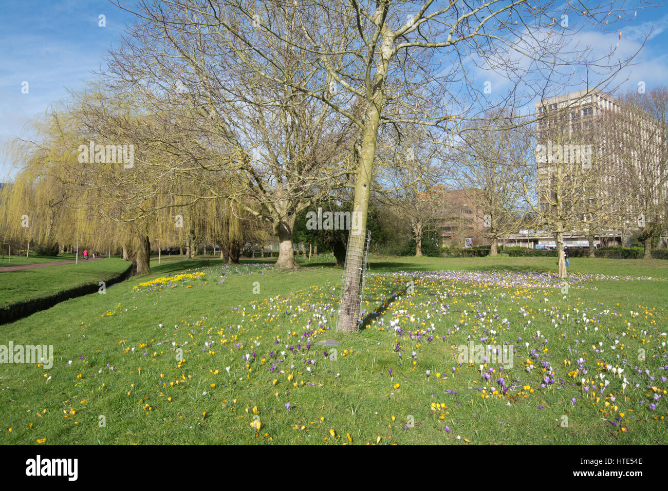 Basingstoke town park hi-res stock photography and images - Alamy