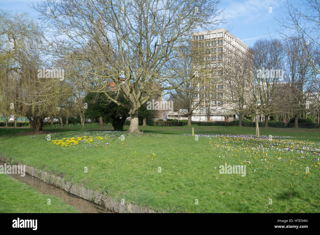 Eastrop park basingstoke hi-res stock photography and images - Alamy