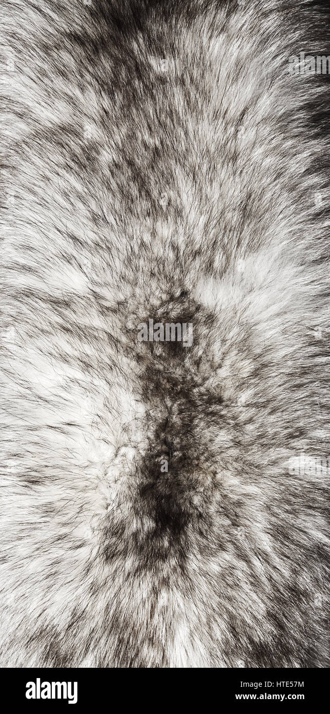 Animal fur sheet hi-res stock photography and images - Alamy