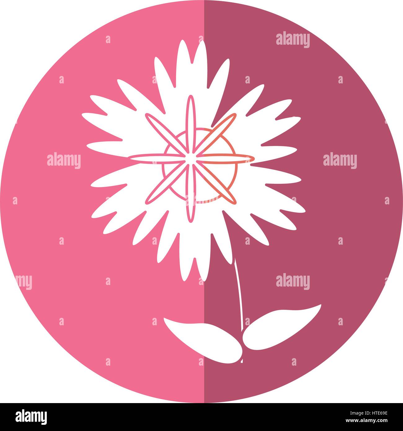 magnolia flower natural shadow Stock Vector Image & Art - Alamy