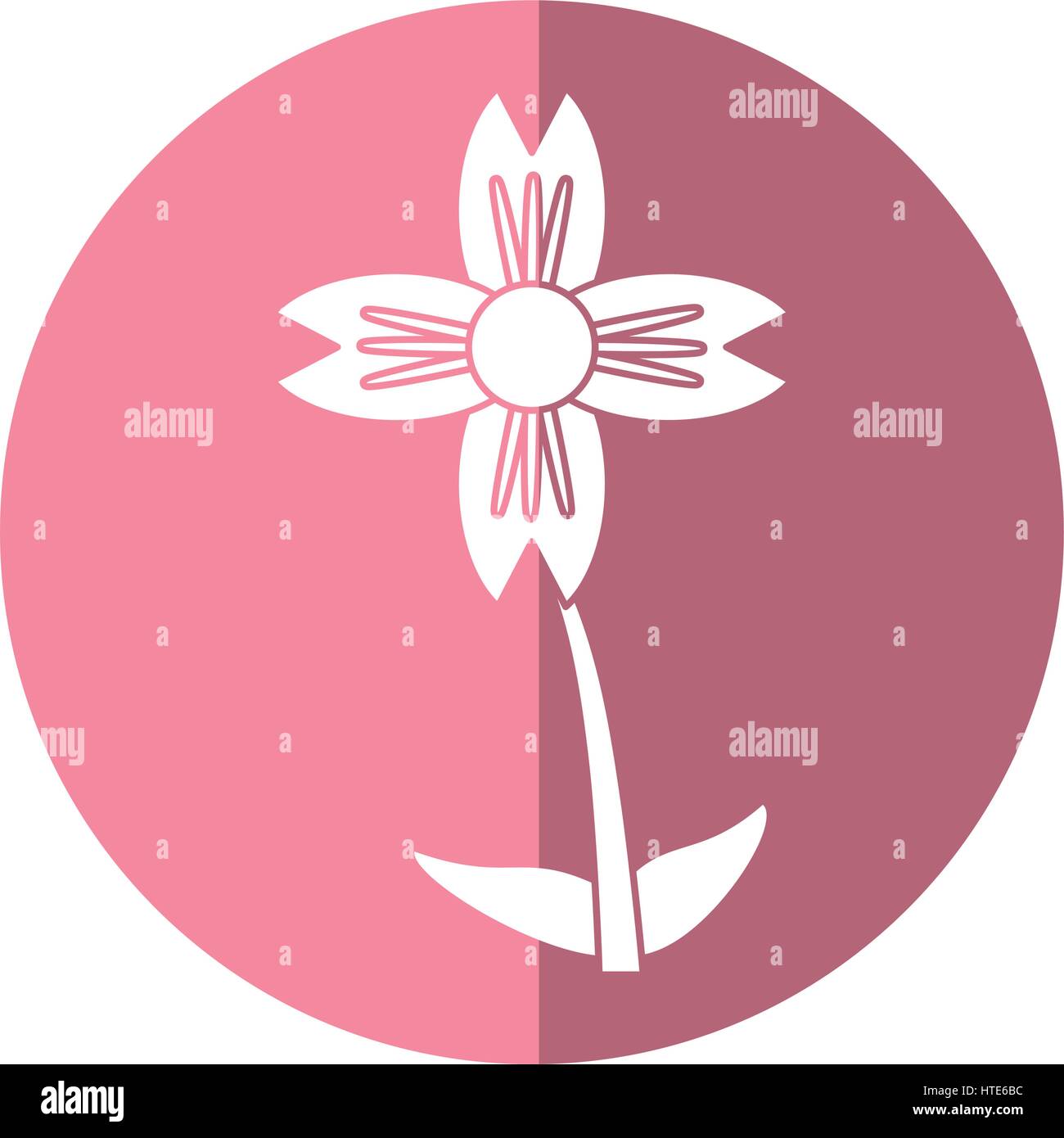 amaryllis flower natural shadow Stock Vector Image & Art - Alamy