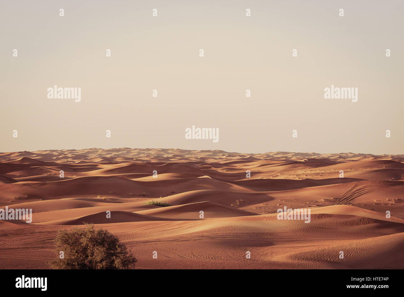 Middle east sand hi-res stock photography and images - Alamy