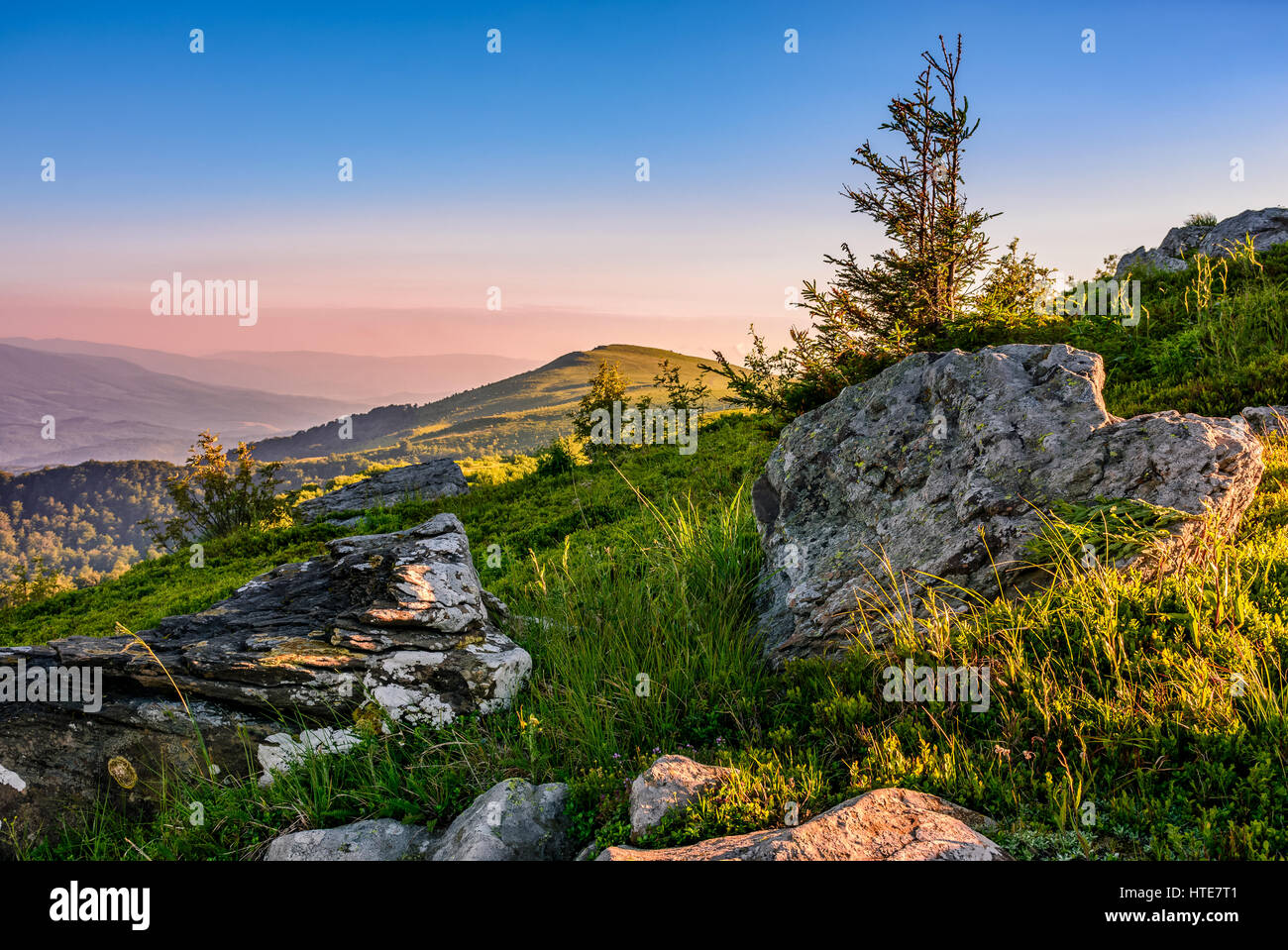 epic sunrise on high mountain ridge. lonely spruce tree among huge ...