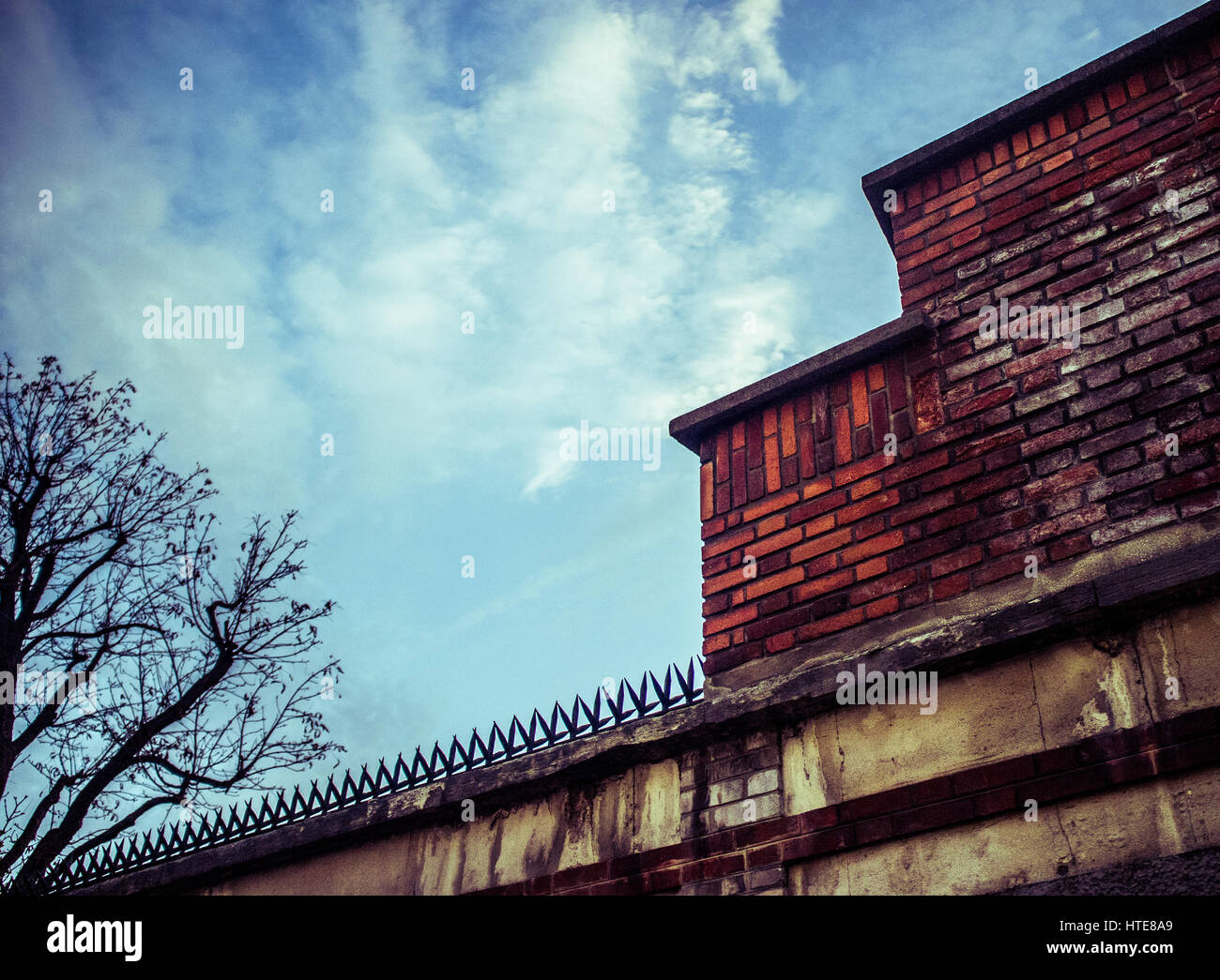 Red brick wall, tree and blue sky Stock Photo - Alamy