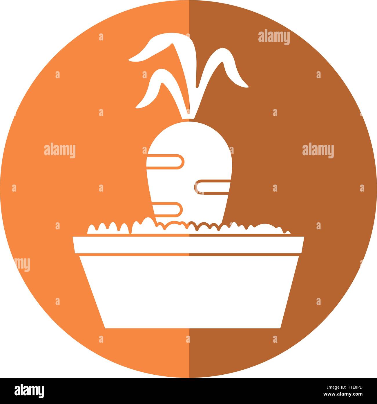 garden bed carrot shadow Stock Vector Image & Art - Alamy