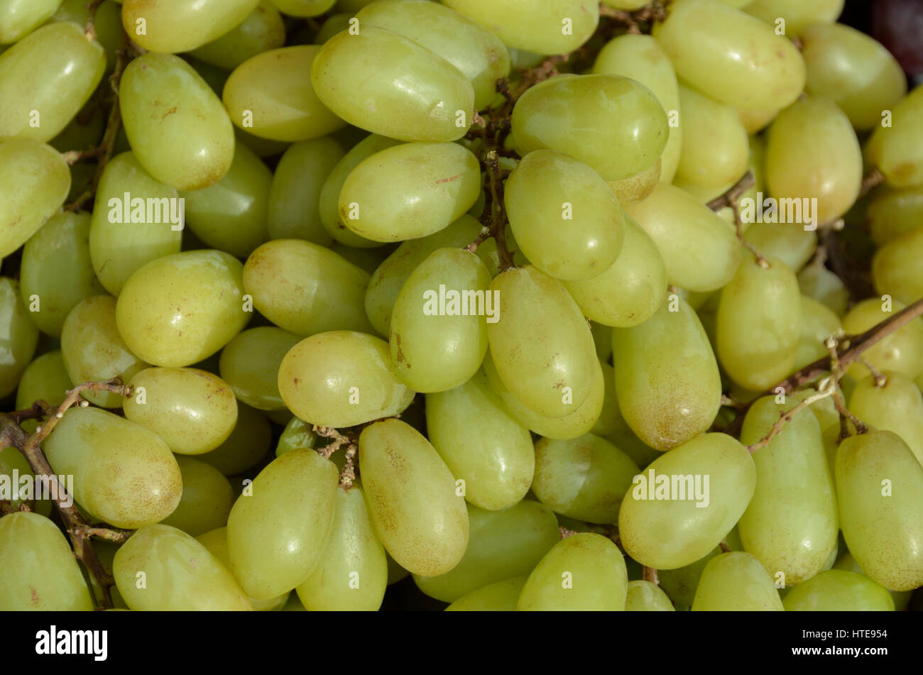 Many white horizontal hi-res stock photography and images - Alamy