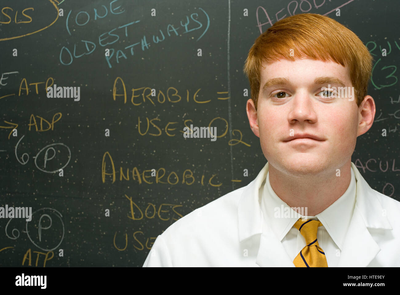 Portrait of a male student Stock Photo - Alamy