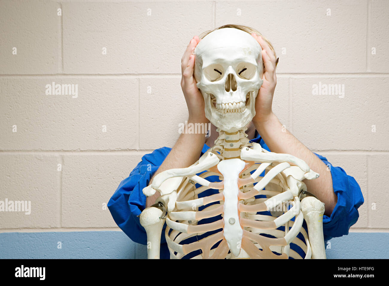 Funny human skeleton holding hi-res stock photography and images - Alamy