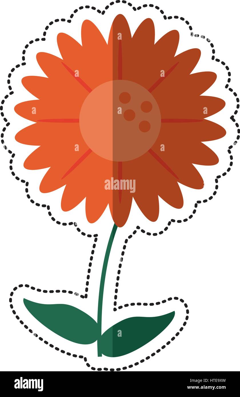 cartoon gerbera flower natural Stock Vector Image & Art - Alamy
