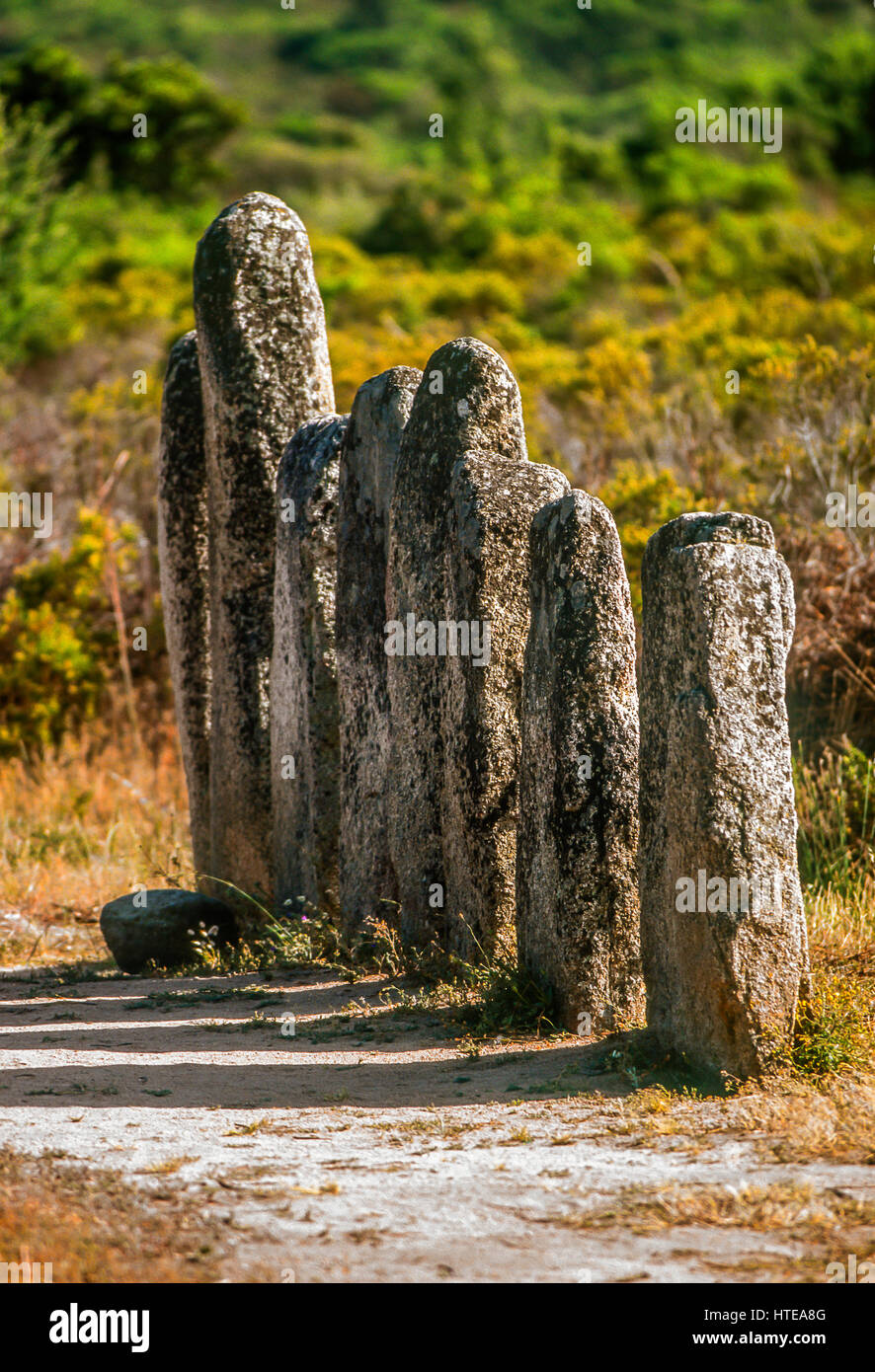 Alignment with nature hi-res stock photography and images - Alamy