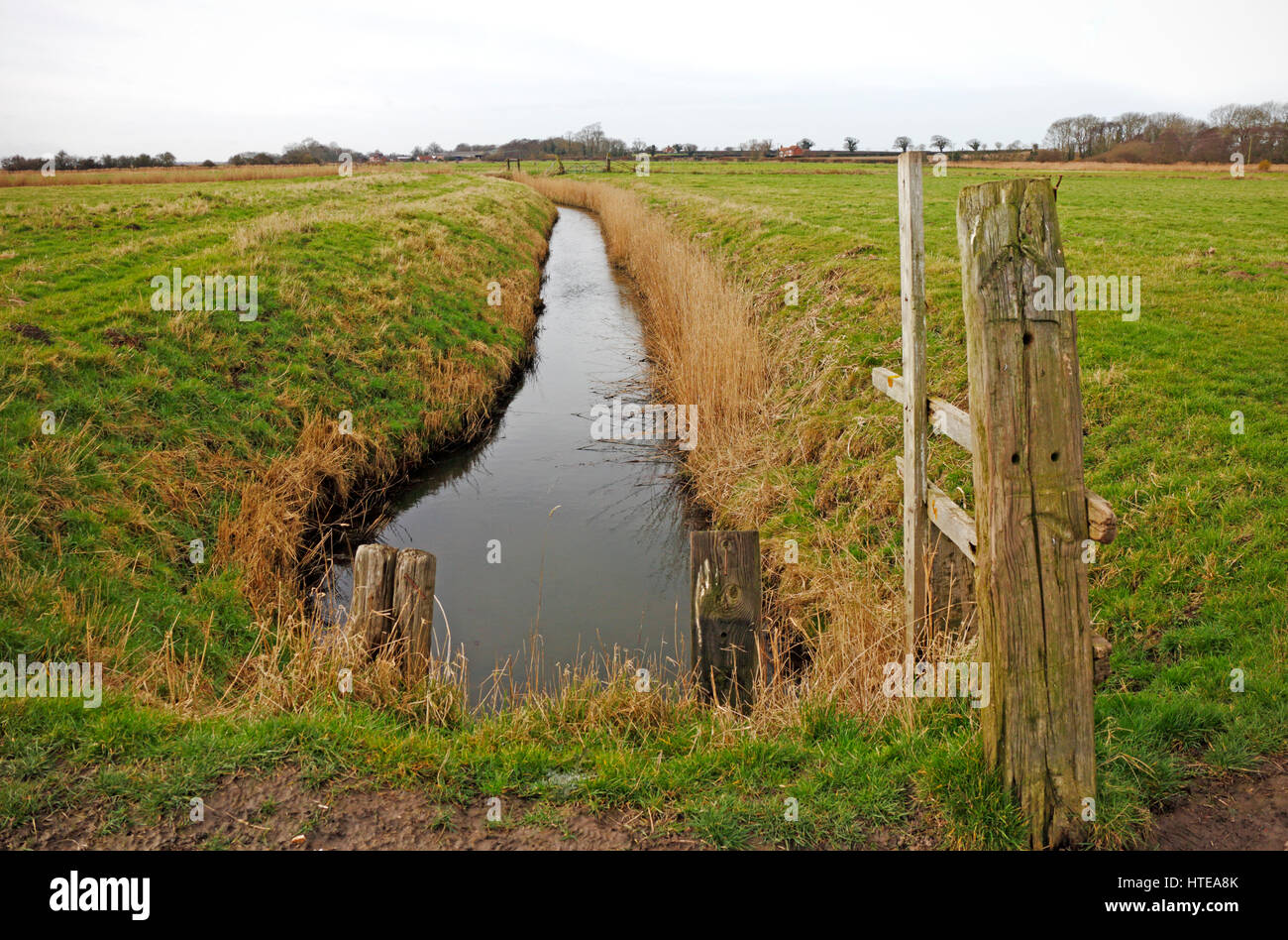 A view of a drainage ditch on low lying farmland on the Norfolk Broads ...